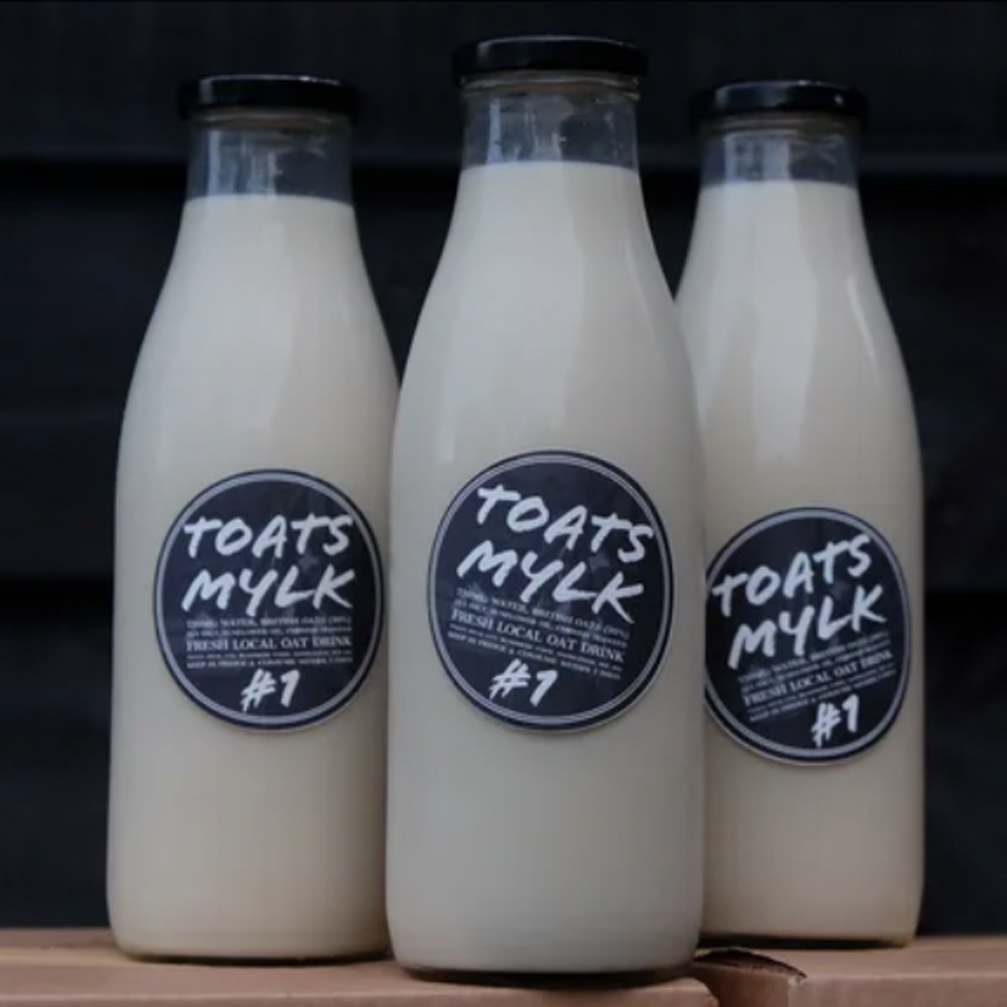 TOATS MYLK – toatsmylk